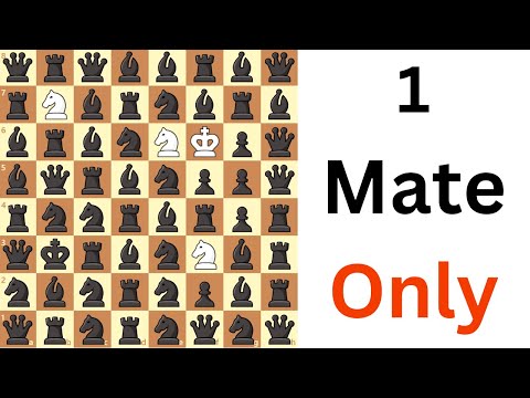 One Checkmate Only Chess Puzzle (No#2)