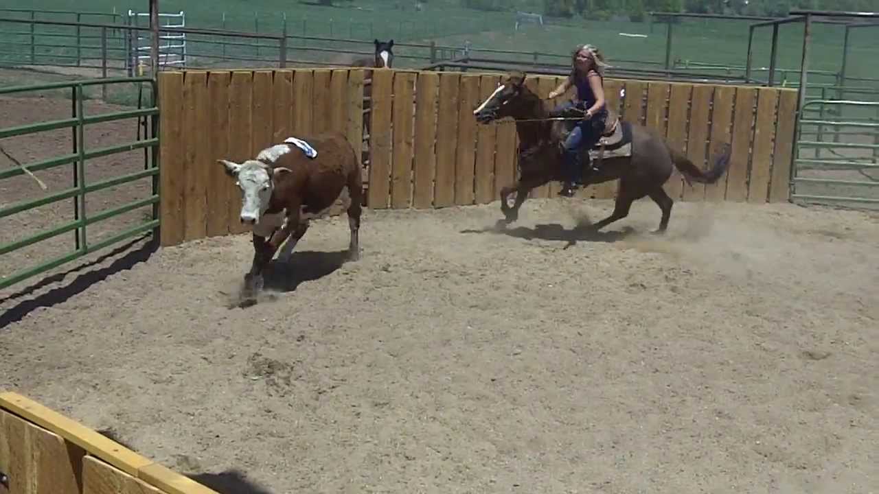 Ranch Sorting Clinic 5/25/13 - YouTube
