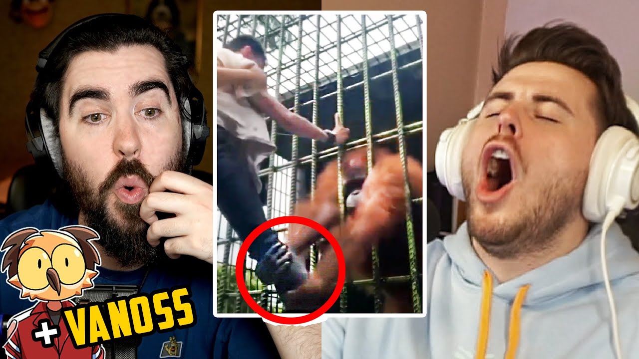 Showing Vanoss and Terroriser my Tiktok FYP was a bad idea - YouTube