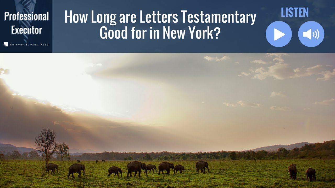 How Long Are Letters Testamentary Good For In New York YouTube how-long-are-letters-testamentary-good-for-in-new-york-youtube