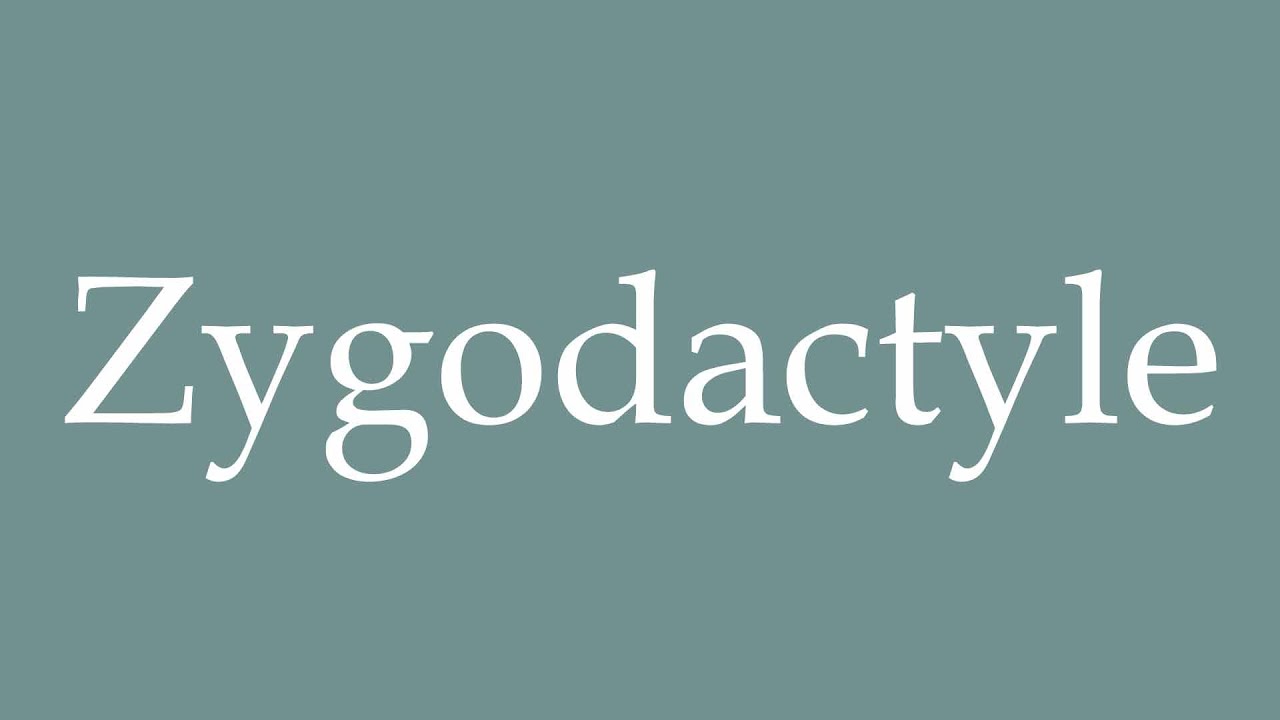 How to Pronounce ''Zygodactyle'' Correctly in French - YouTube
