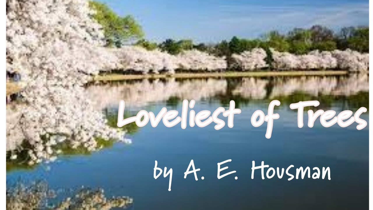 Loveliest of Trees by A. E. Housman - YouTube