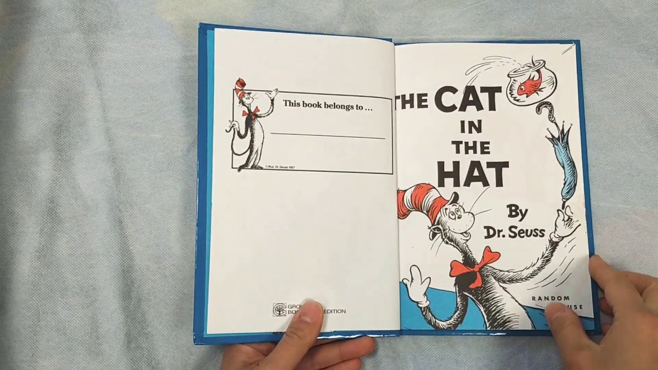 Cat in The Hat - Story and pictures in English - YouTube