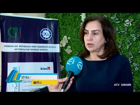 Mövsümü xəstəliklər-ATV