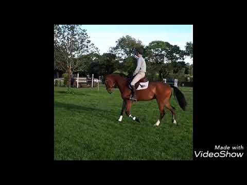 4 yr old by Tullabeg Fusion - YouTube