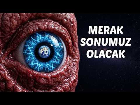 Karanlık Orman Teorisi: Uzaylılarla Temas Bizi Neden Yok Edebilir | Uyku İçin Belgesel