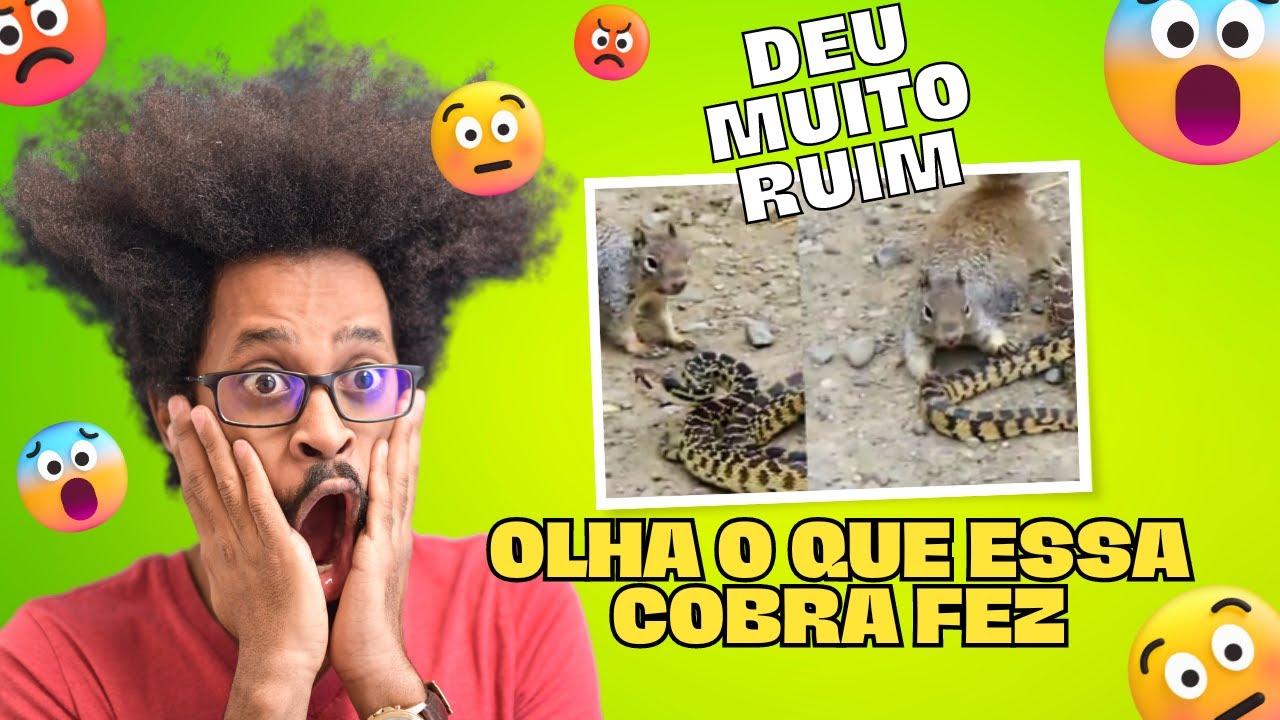 COBRA ATACANDO ESQUILOS E O FINAL É SURPREENDENTE! ATAQUE DE COBRA😱 ...
