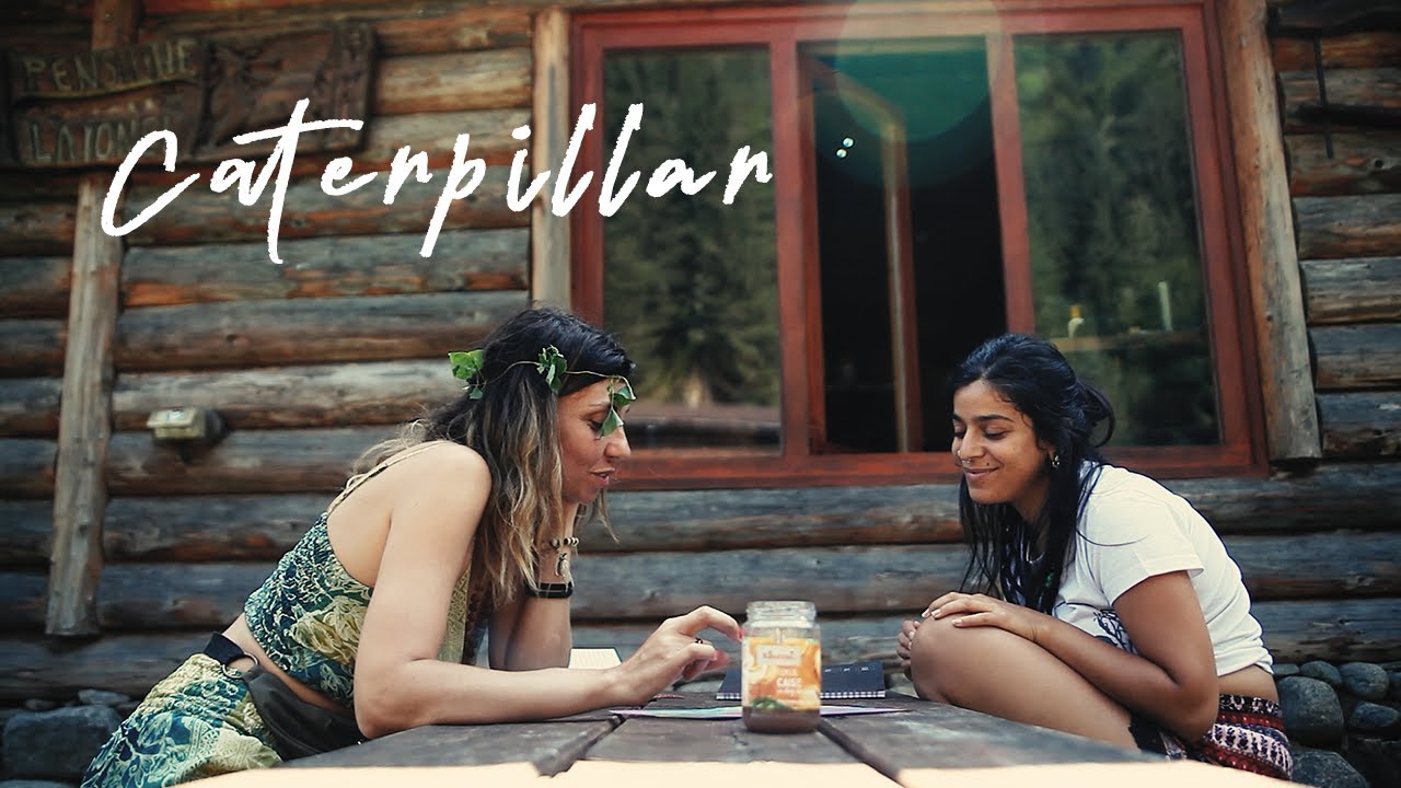 Caterpillar - Training Course - From Caterpillar to Butterfly - YouTube