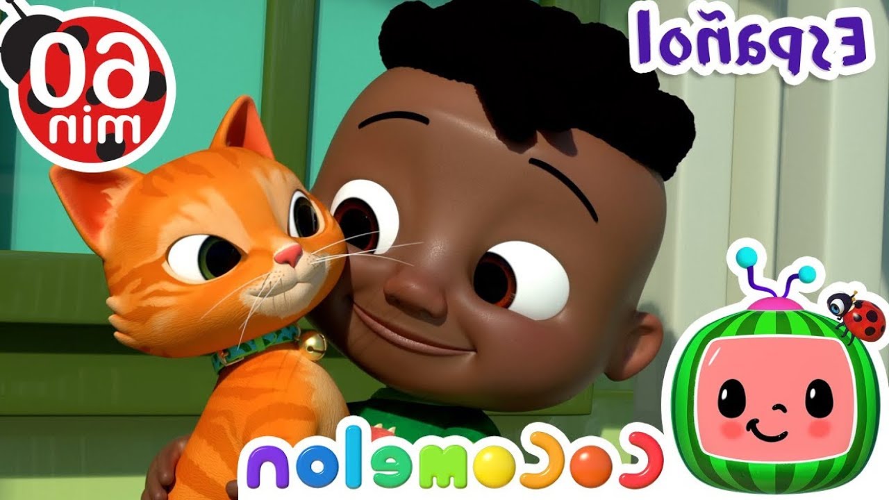 Las mascotas | ¡CoComelon! | Canciones Infantiles en Español LatinoLas ...