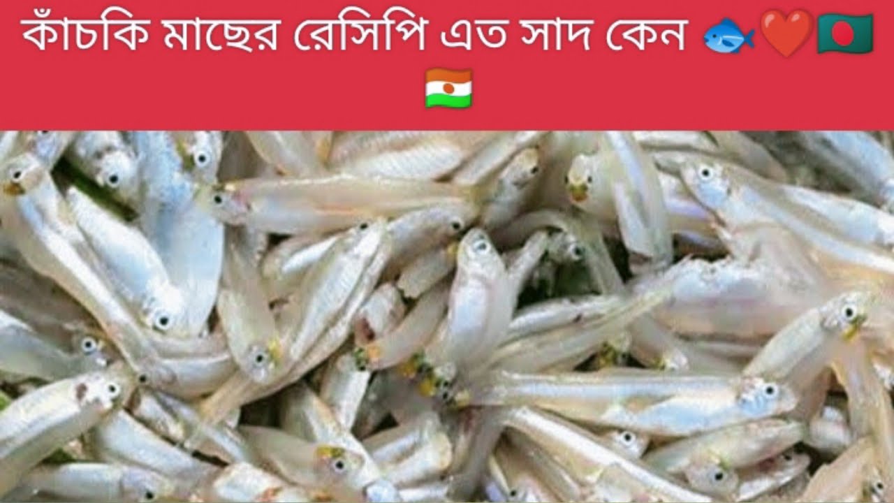 কাঁচকি মাছের রেসিপি সেই রকম সাধ 🥰 Kashki fish recipe very nice |# ...