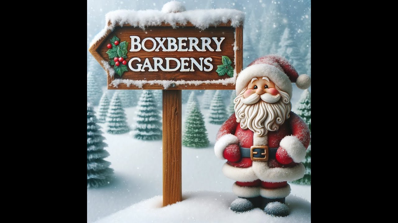 Boxberry Gardens Christmas Display in Walnut Tree, Milton Keynes - YouTube