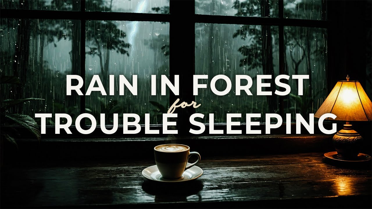 Play this and Fall Asleep! Perfect Rain in Forest for Sleeping and ...