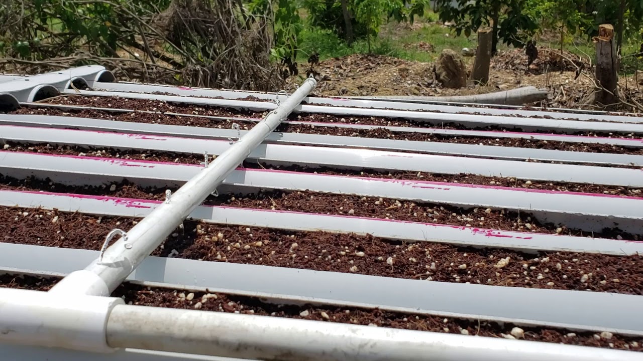 Trinilandman hydroponic systems manifold - YouTube