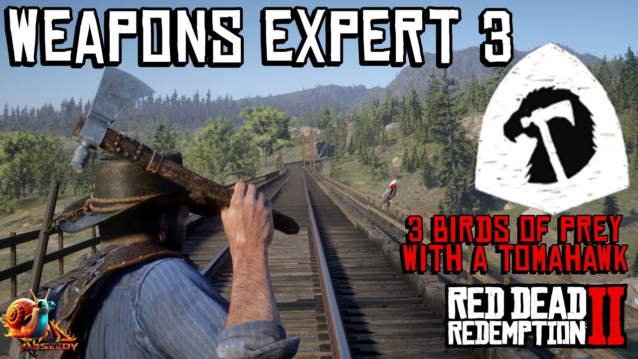 Weapons Expert 3 [Challenge] - Red Dead Redemption 2 - YouTube