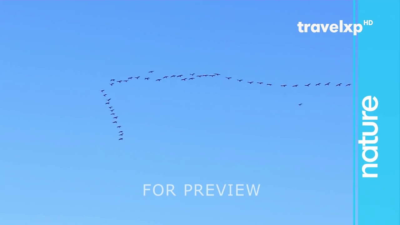 travelxp HD - YouTube