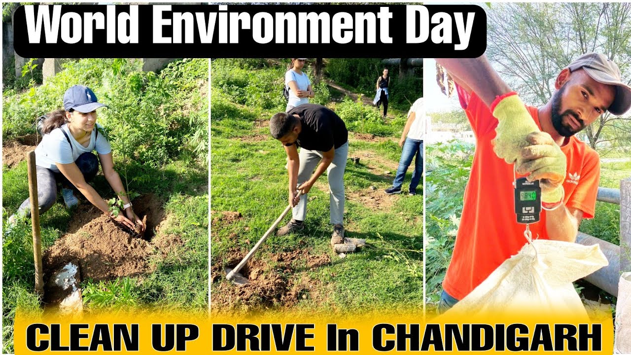 World Environment Day: Clean Up Drive in Chandigarh - YouTube