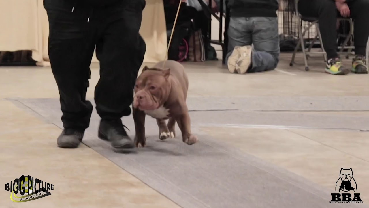 Keep 6ix Bully Fix 2 - YouTube