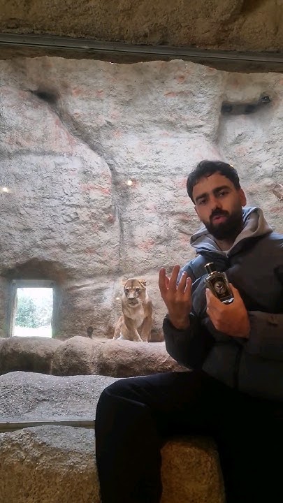 Zoologist parfem #civet #lav #lion #zoo - YouTube