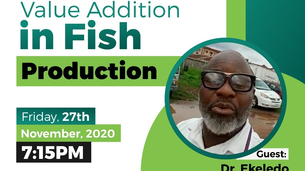 Value Addition Fish Production - YouTube