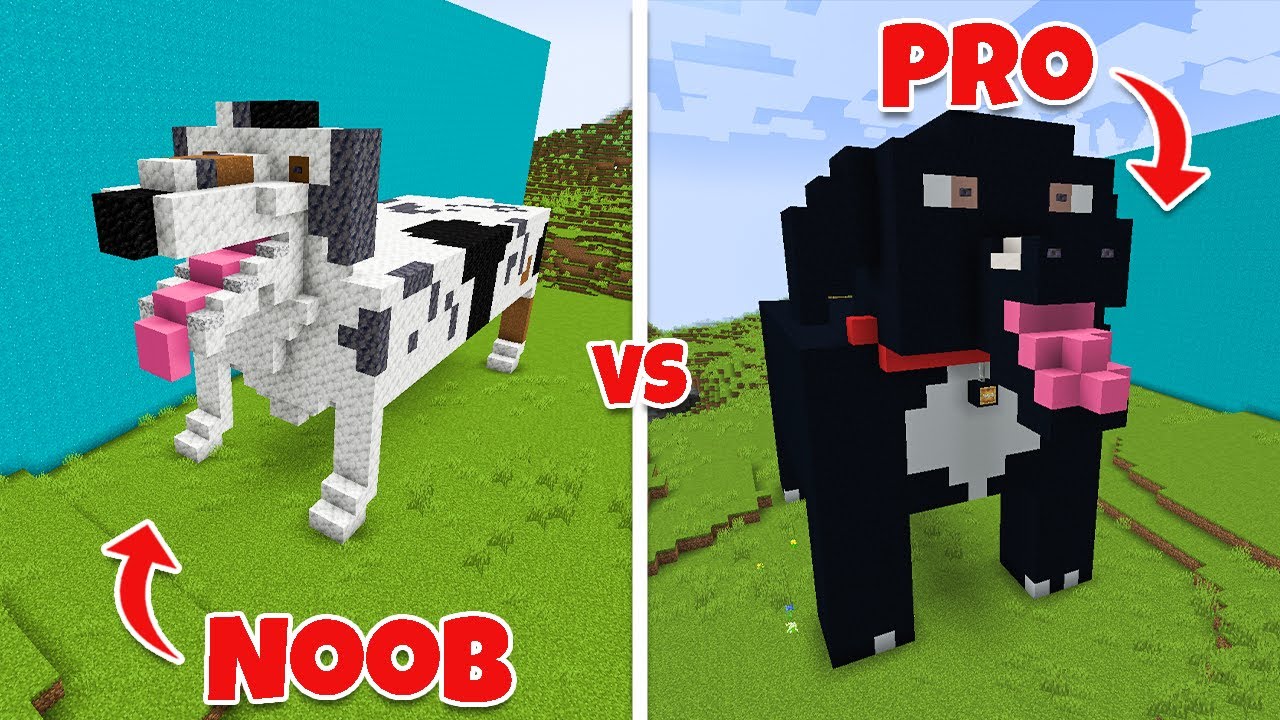 I built a SECRET BASE inside my DOG | NOOB vs PRO - YouTube