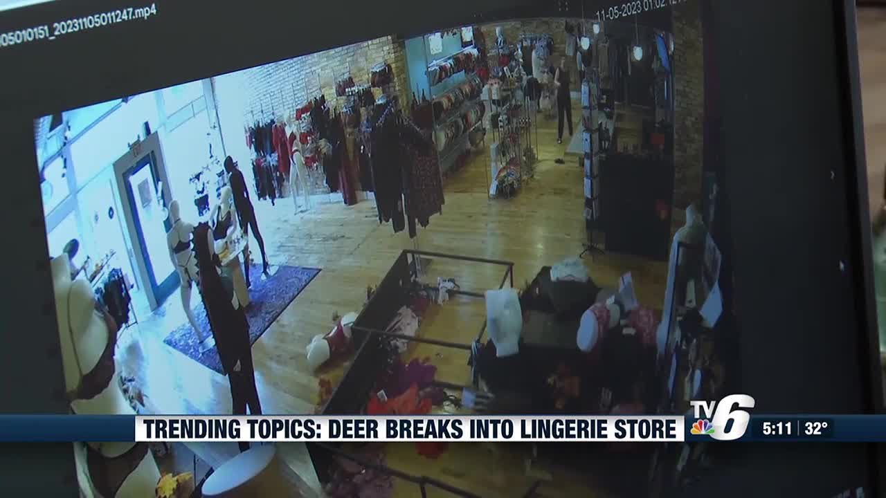 TV6 First Look at the Web 11/7/2023 - YouTube