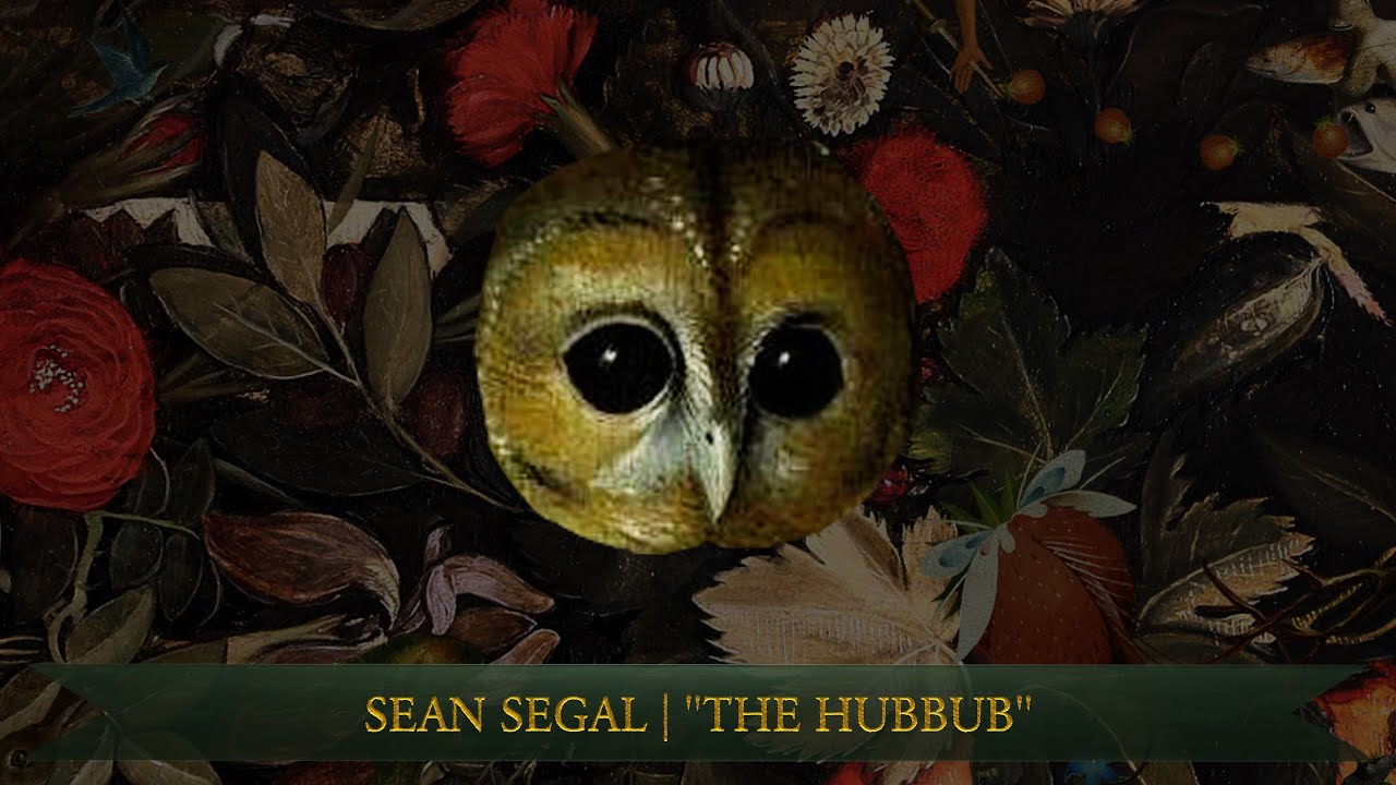 Sean Segal | "The Hubbub" | Made with Fever Dreams Vocal Sample Library - YouTube