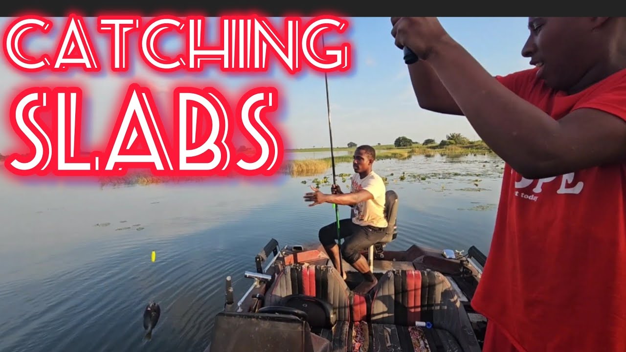 FIRST TIME BLUEGILL FISHING AND WE CAUGHT SOME BIGGINS. - YouTube