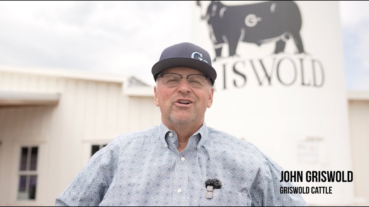 Arizona National: Barns - Griswold Cattle - YouTube