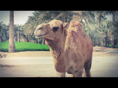 Tobu - Desert Voices [Official Video]