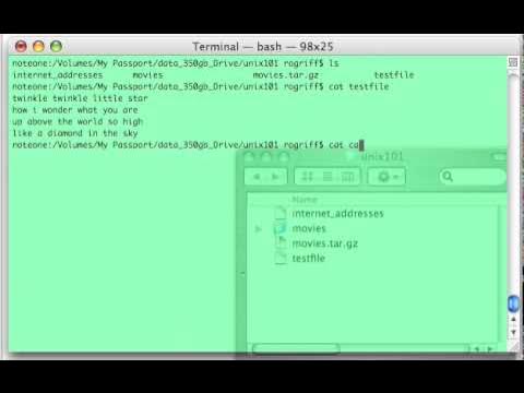 Unix 101 Commands: wc (word count) - YouTube