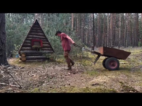 Building a tiny Log HOUSE in the wild. Free Builder in the Wilderness ...