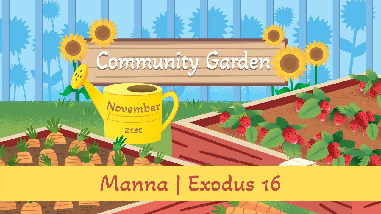 Manna | Exodus 16 - YouTube