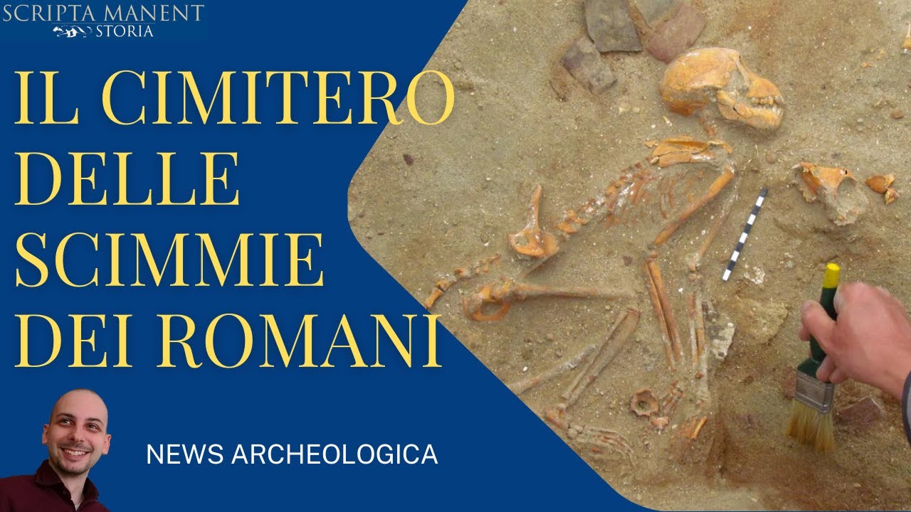 Il cimitero delle scimmie degli antichi romani - YouTube