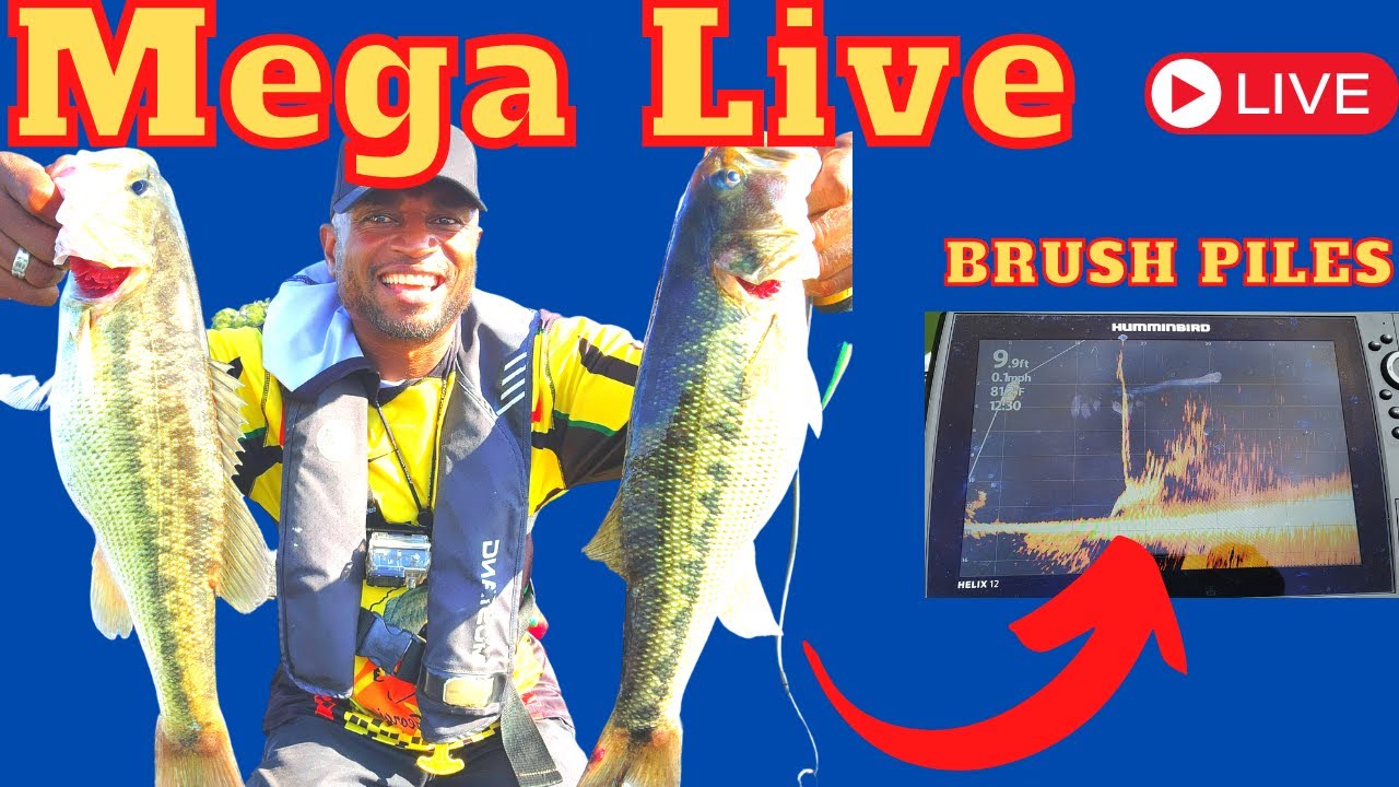 Mega Live "On The Water Challenge" Fishing Brush Piles @fishthemoment ...