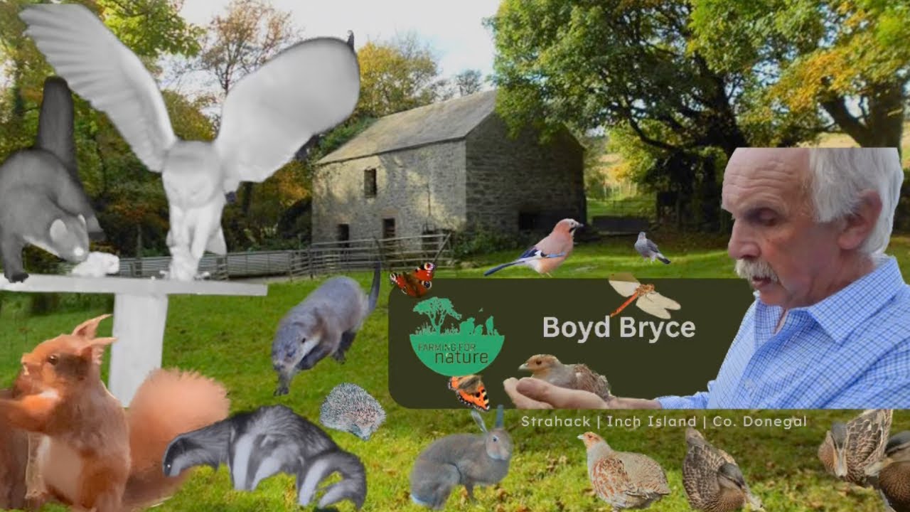 Inch Island | Boyd Bryce, Farming for Nature! (Strahack Farm Update ...
