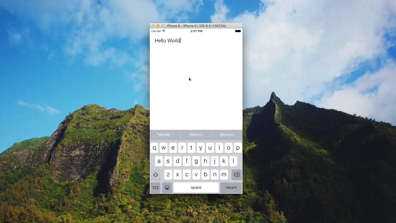 11 Basic Custom Settings Demo - YouTube