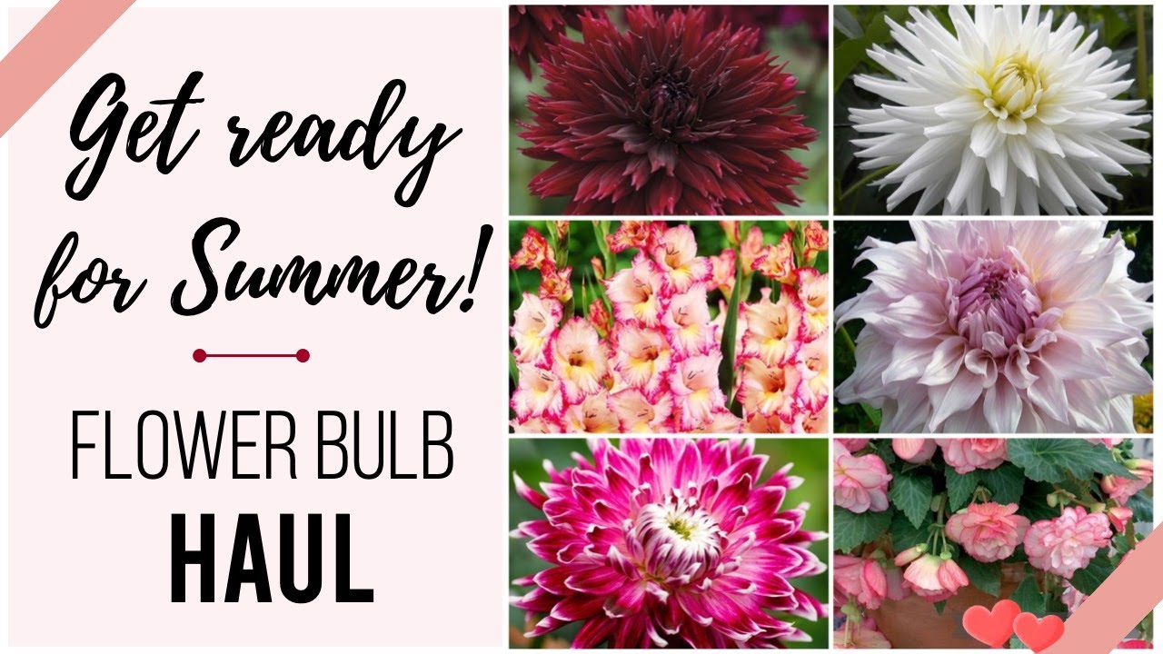 New Flower Bulbs In My Garden | Get Ready For Summer ☀️🌺 - YouTube