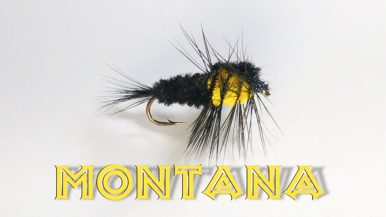 Montana Stonefly Nymph - Fly Tying Tutorial - YouTube