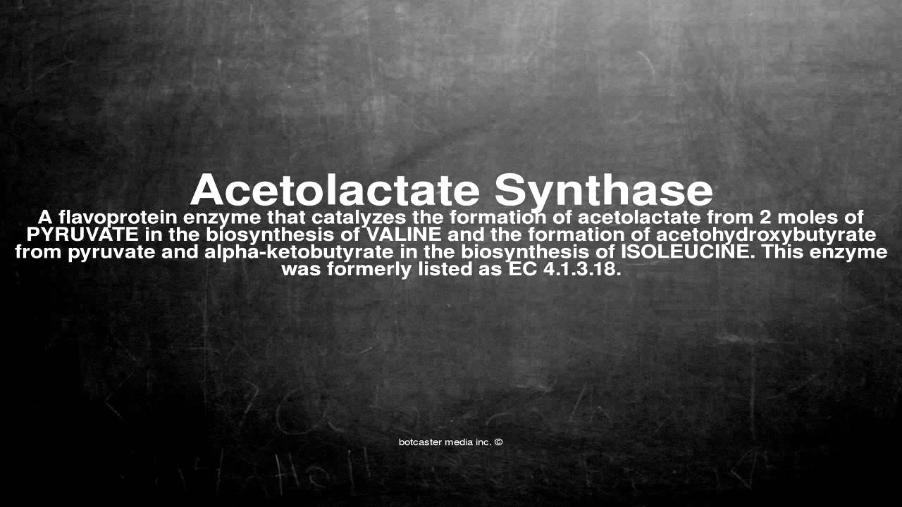 Medical vocabulary: What does Acetolactate Synthase mean - YouTube