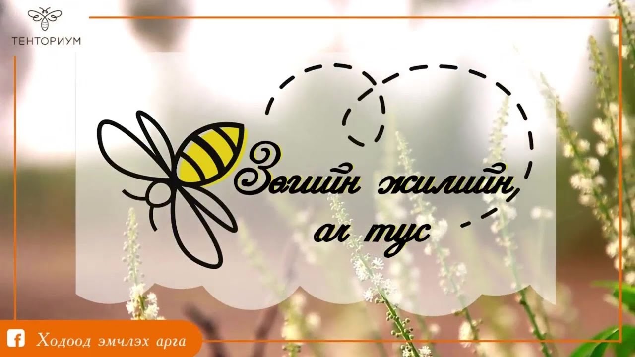 💁♀️Та бүхэндээ ЗӨГИЙН ЖИЛИЙН АЧ ТУС Тенториум компанийн зөгийн жилийн