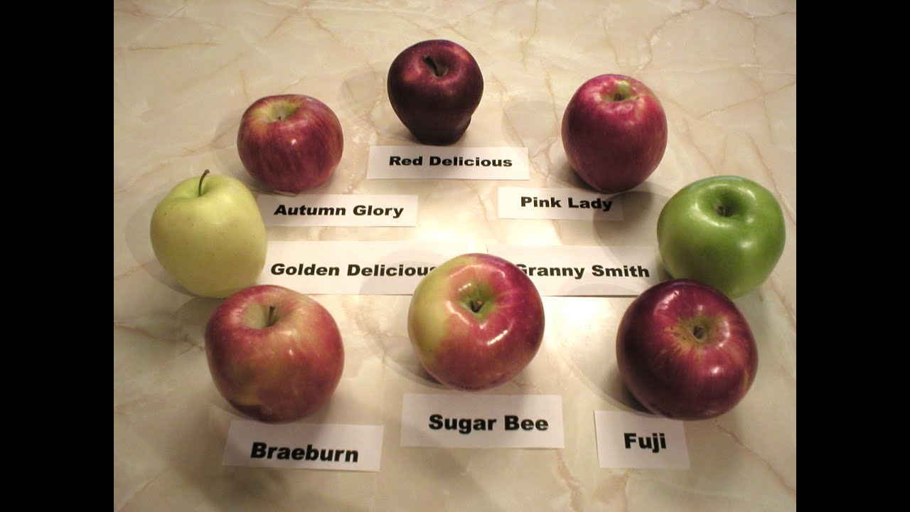Apples 101 - About Pacific Rose Apples - YouTube