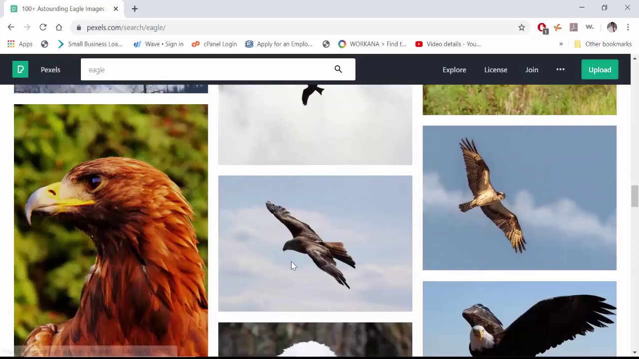 Como Descargar Imagenes GRATIS de Internet de Alta calidad - YouTube