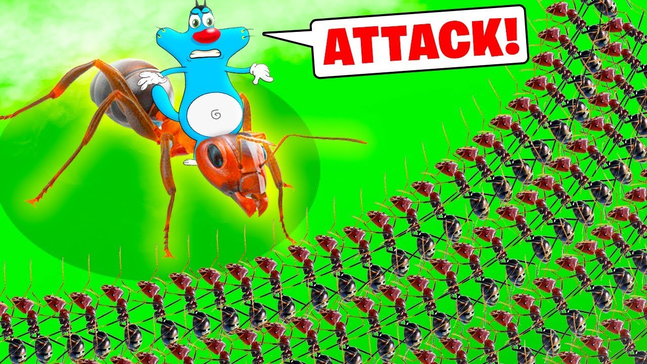 Oggy Created Biggest Ants Army With Jack In Ant Land | Rock Indian ...