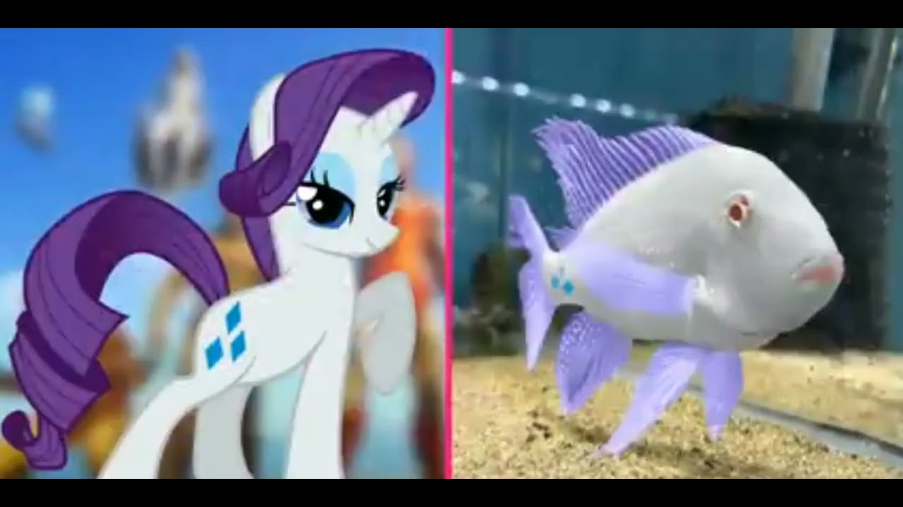 My Little Pony Characters as Fish - YouTube
