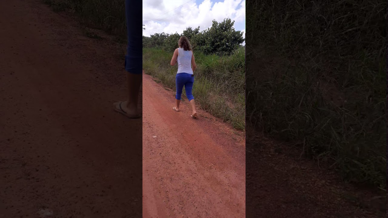 Minha Irmã Tímida Youtube