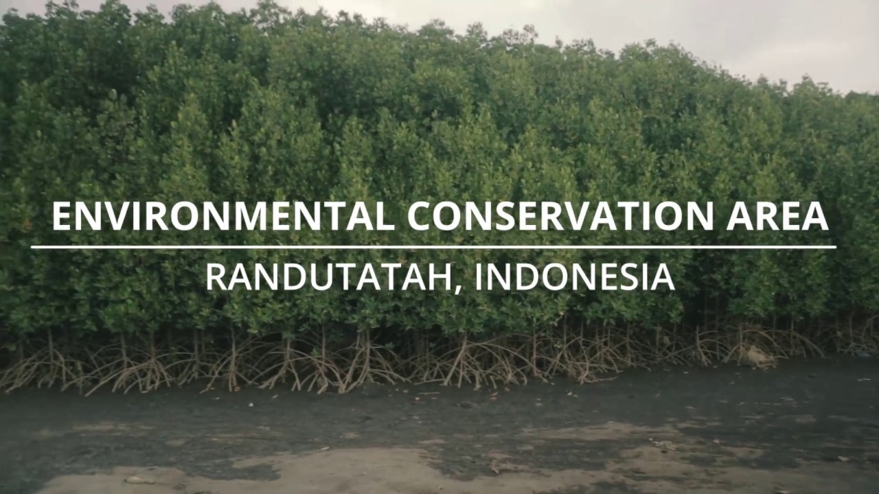 Environmental Conservation Area, Randutatah - YouTube