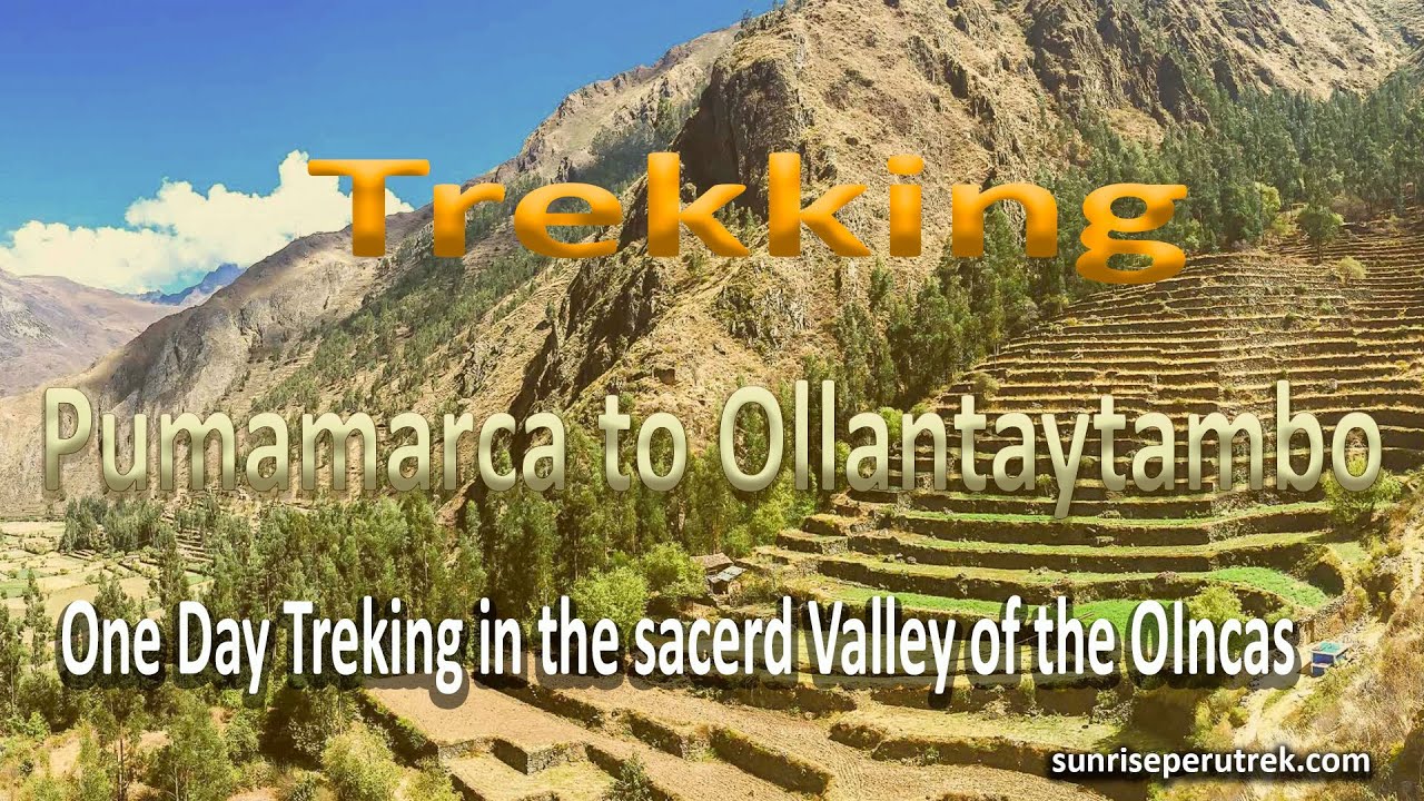 Trekking Pumamarca to Ollantaytambo One Day with SPT Travel & Tours ...