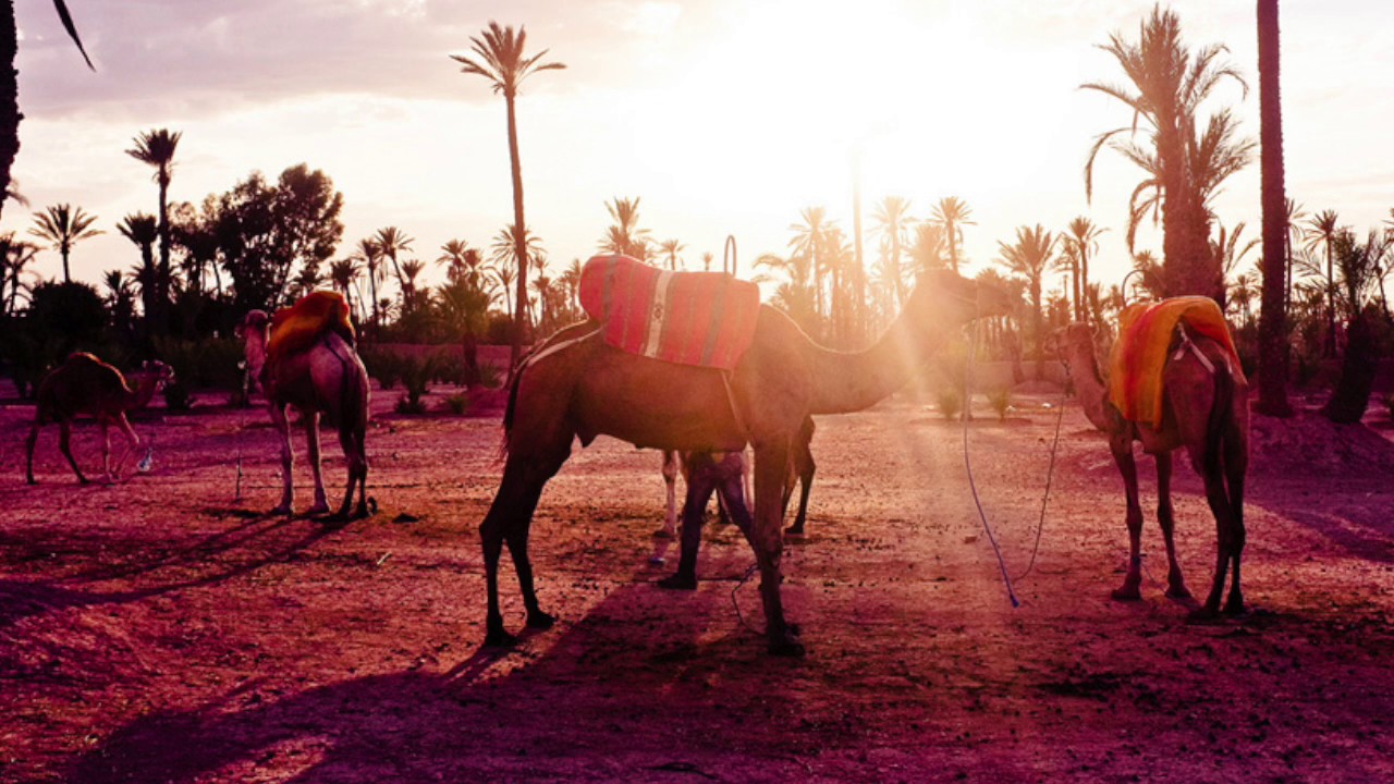 DJ Dorivald - The Sound of Life (feat. Os Banah & Afrikan Beatz) - YouTube