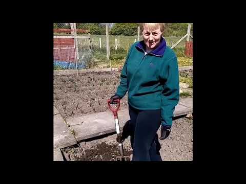 A video message from Mrs Ewart 1/5/20 - YouTube