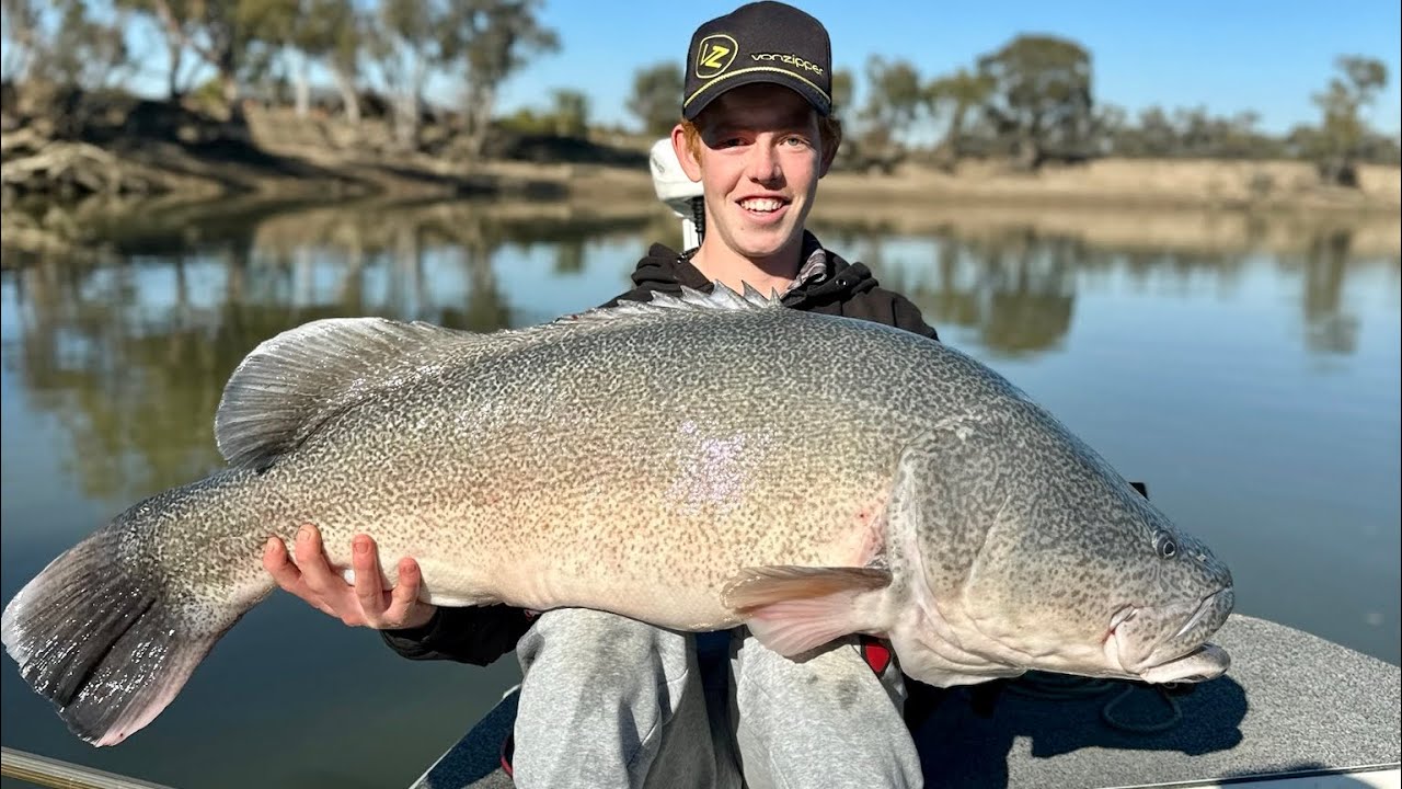 Murray Cod Fishing,, Edward River Giant - YouTube